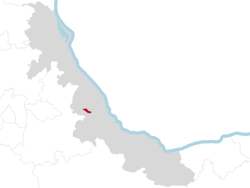 Coatepec - Conoce México